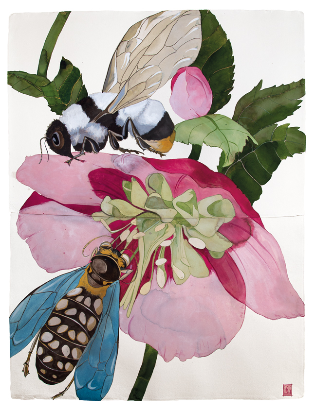 Sarah Graham | Selected Works